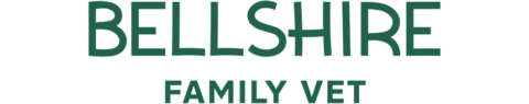 Vet Appointment In Nashville, TN | Bellshire Family Vet